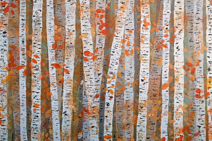 Silver Birch Autum Colour