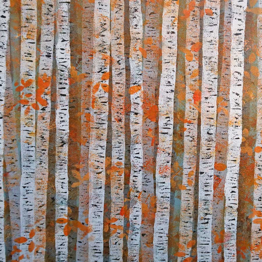 Silver Birch Autumn Colours