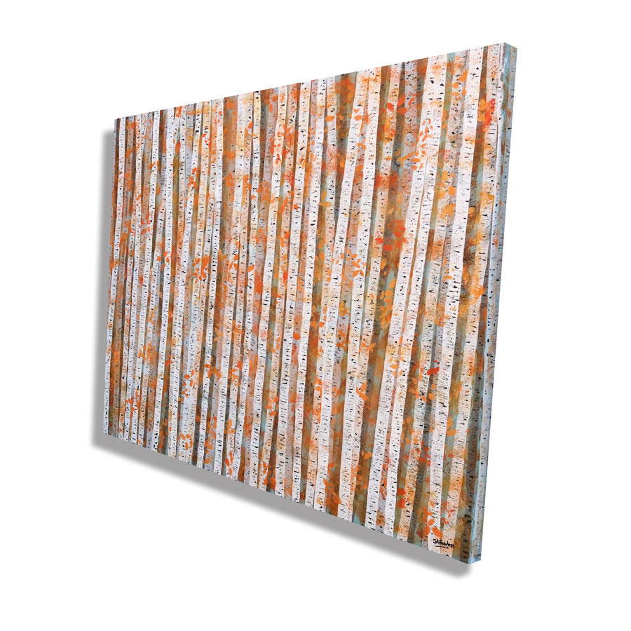 Silver Birch Autumn Colours